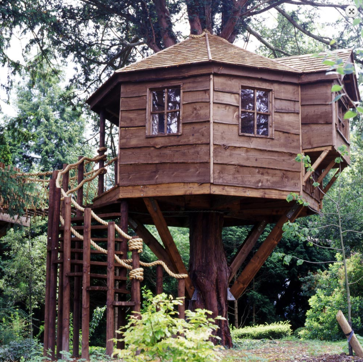 What is the best Tree for Building a Tree House? - JADESA Joinery