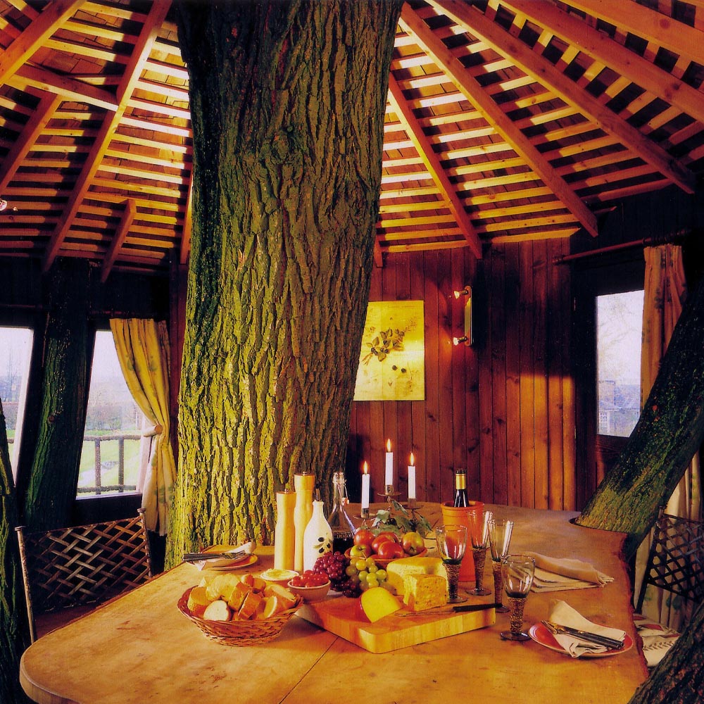 Is it Safe to have Electricity in a Treehouse? - JADESA Joinery